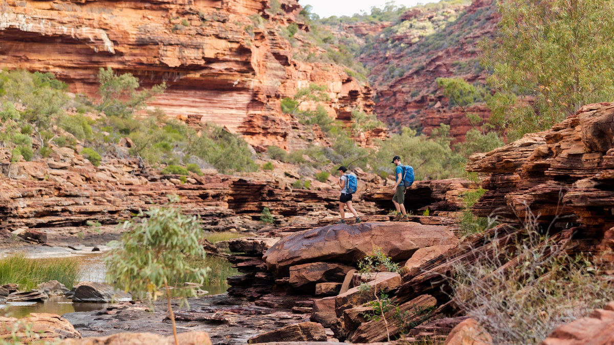 HOW TO NOT DIE IN THE OUTBACK: 10 TIPS FROM AN AUSSIE SURVIVAL EXPERT ...